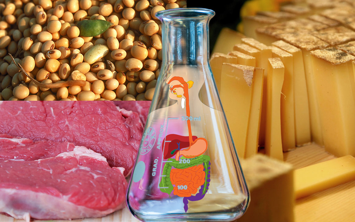 Digestion Of Protein Increasing Sustainability In Palaeoproteomics By