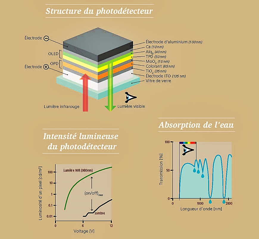 Voir le monde avec des yeux différents